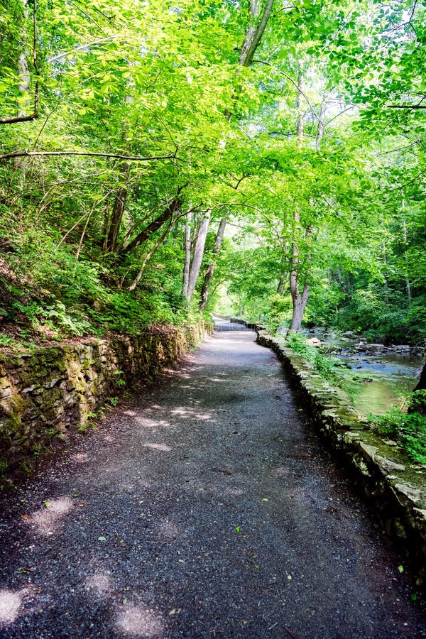 Forest Pathway. Forest Scape with Trees and Bushes among the Rocks ...