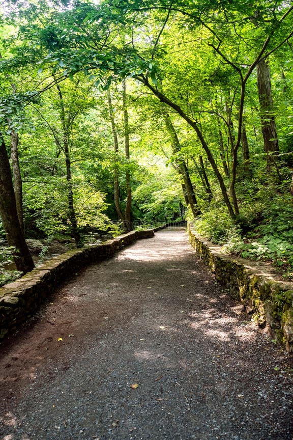 Forest Pathway. Forest Scape with Trees and Bushes among the Rocks ...