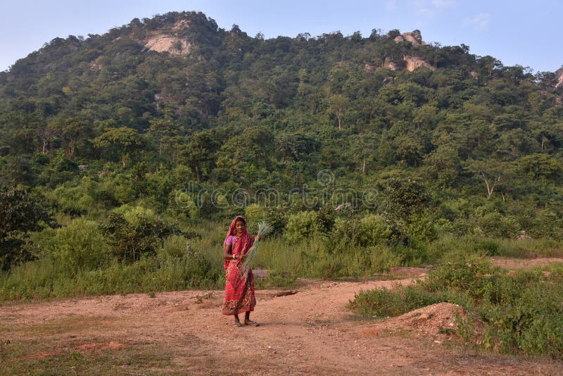 Forest People-Bastar editorial photo. Image of dress - 40214756