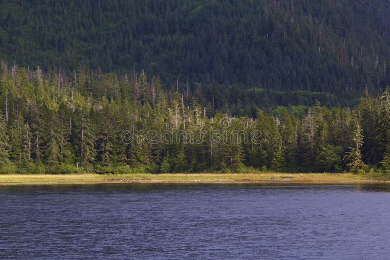 Forest Peril Strait 845454 stock image. Image of scenic - 179068289