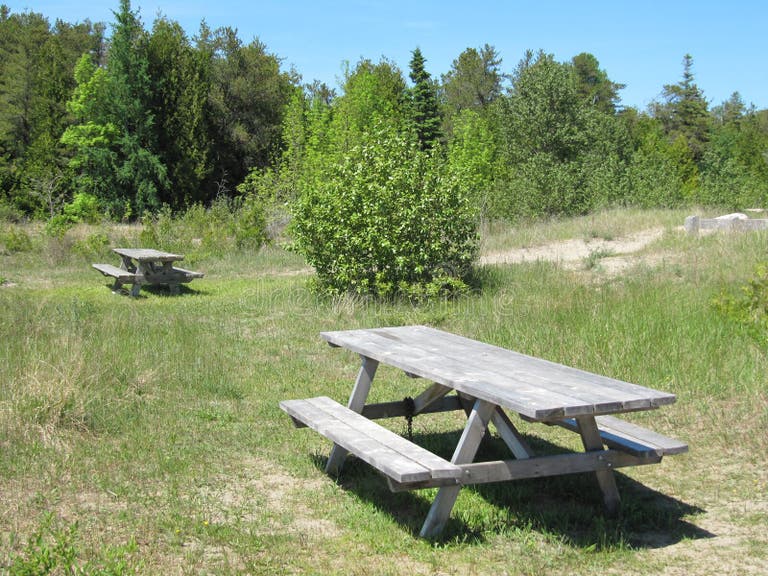 Forest picnic area stock image. Image of bench, leisure - 14569849