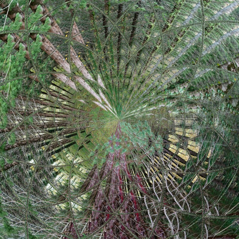 Forest Pine Trees Abstract Art Stock Illustration - Illustration of ...