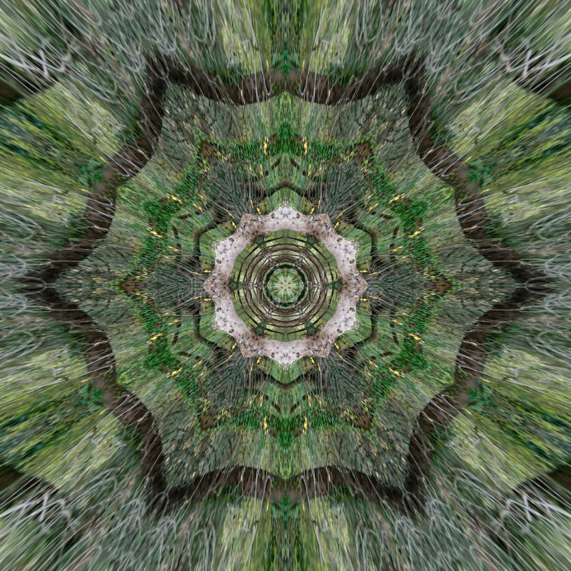 Forest Pine Trees Abstract Art Stock Illustration - Illustration of ...