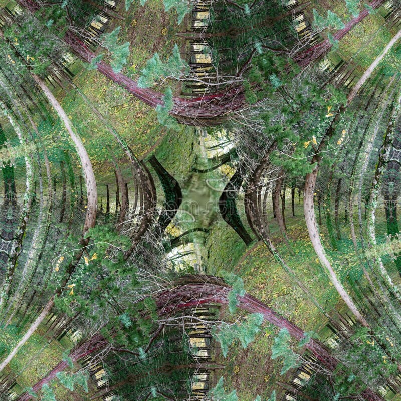 Forest Pine Trees Abstract Art Stock Photo - Image of abstract, forest ...