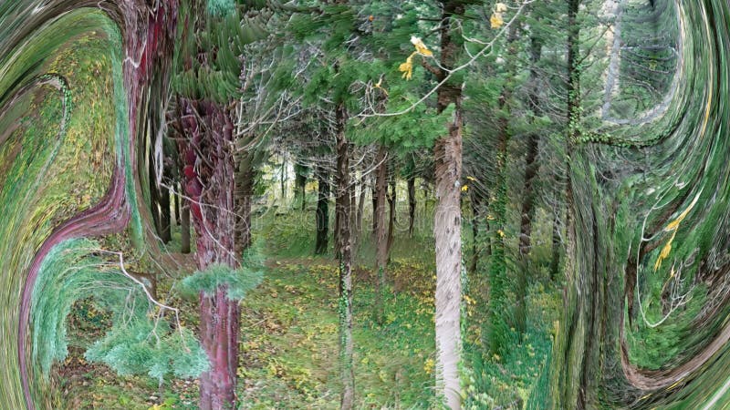 Forest Pine Trees Abstract Art Stock Illustration - Illustration of ...