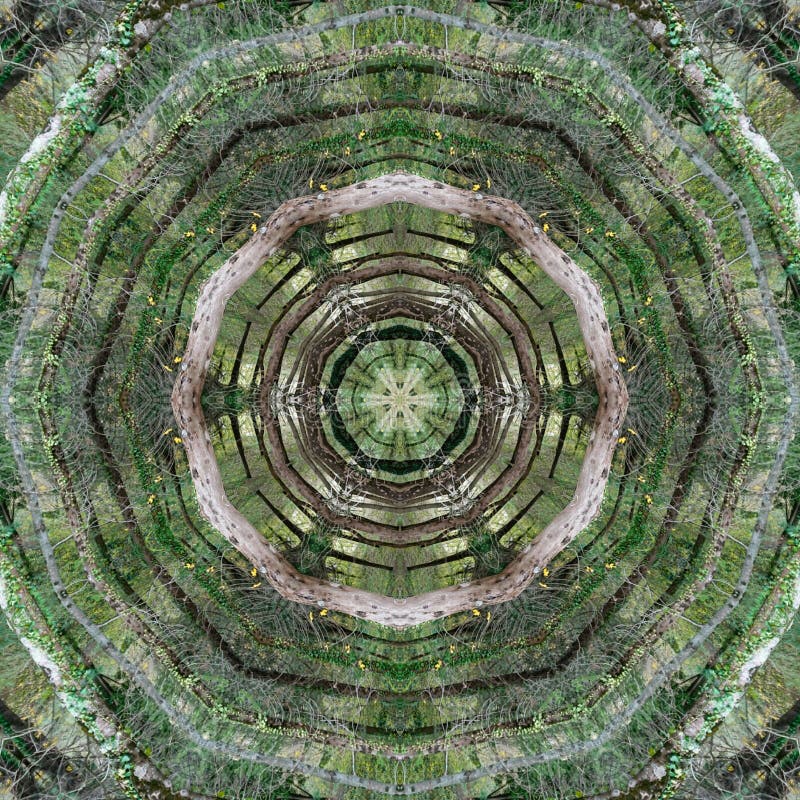 Forest Pine Trees Abstract Art Stock Illustration - Illustration of ...