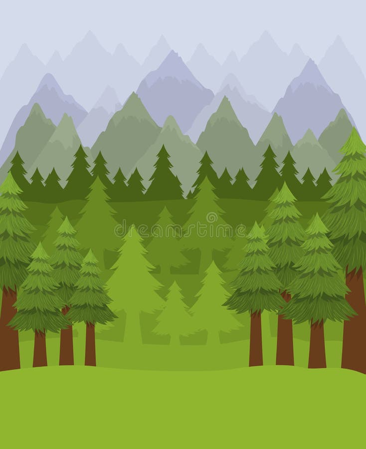 Forest with Pine Trees Design Stock Vector - Illustration of road ...