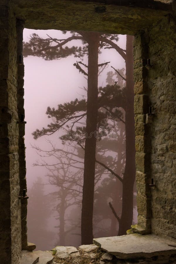 Mist Forest Trees Stone Window Stock Photo - Image of window, pines ...
