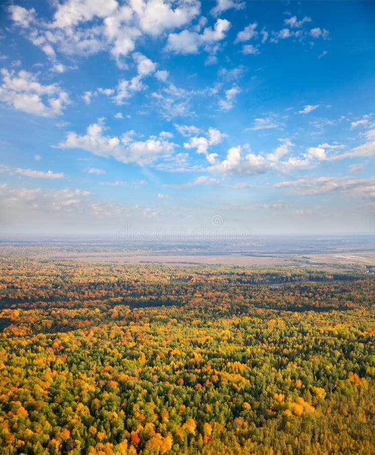 Forest plain in autumn stock image. Image of forest, autumn - 27834593