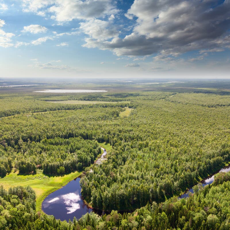 Forest of plain in winter stock photo. Image of beauty - 27635914