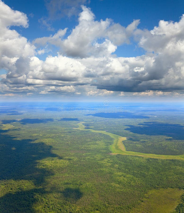 Forest plains stock photo. Image of landscape, green - 32261124