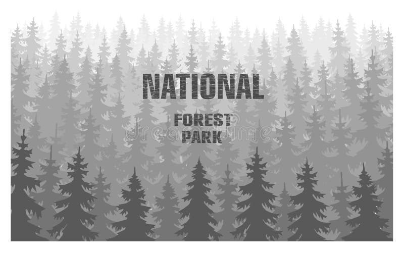 Forest Plantations Forest Texture Stock Vector - Illustration of misty ...