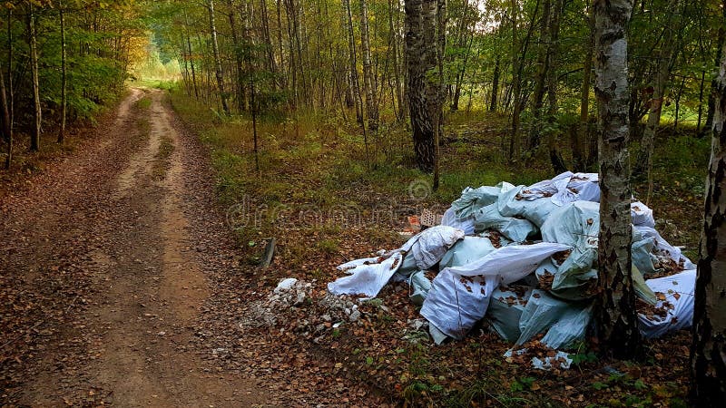Forest Pollution, Garbage Left in Forest Stock Image - Image of left ...