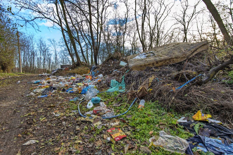 Forest pollution 3 stock image. Image of environment - 65476825