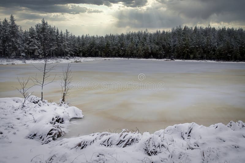 Forest Pond on the Gray Day of December Stock Image - Image of frozen ...