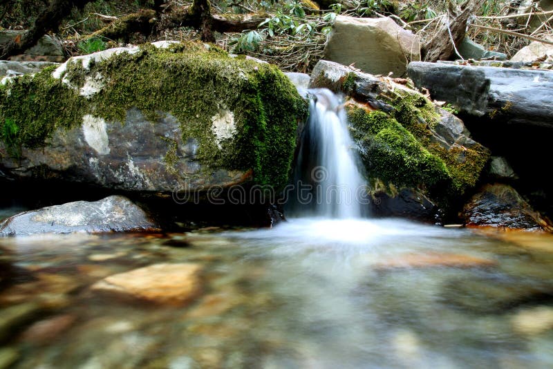 Forest pool 1 stock photo. Image of pebbles, crystal, river - 8198974