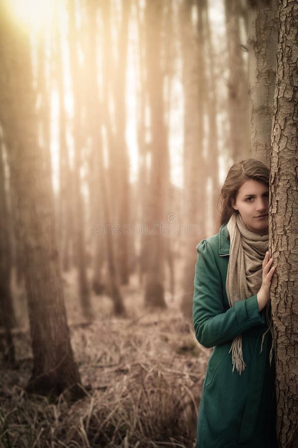 Forest portrait stock photo. Image of kind, tree, beautiful - 52457830