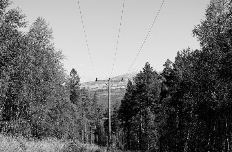 One-Line-Sky Landscape stock photo. Image of beibei, gallery - 48342798