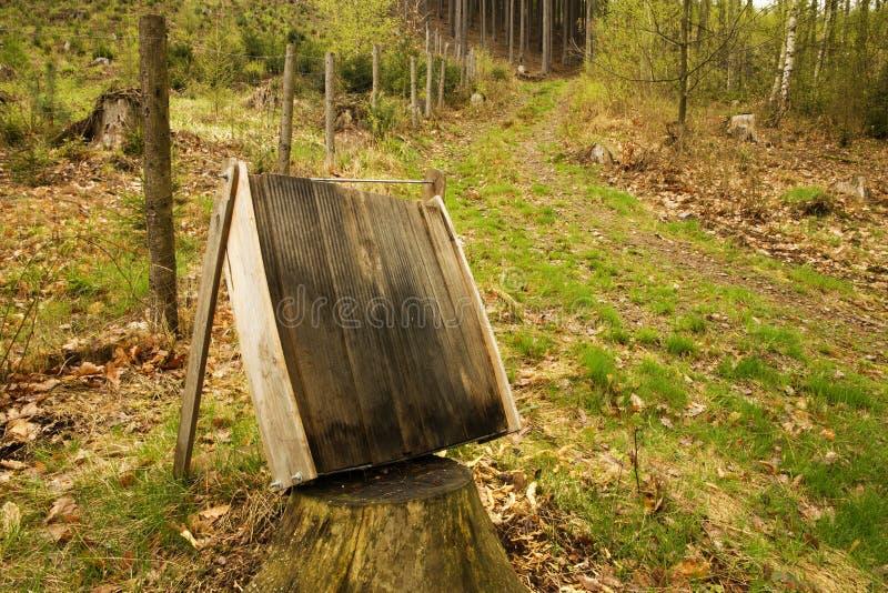 Forest protection ecology stock image. Image of spruce - 86390689