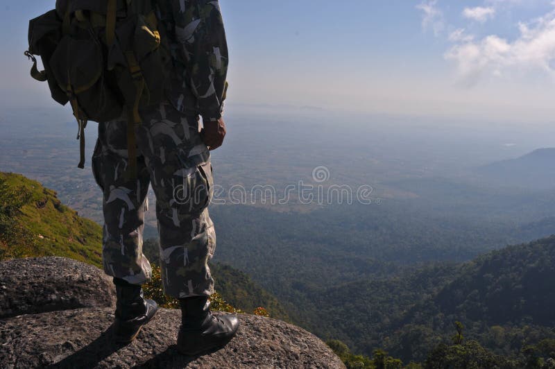 Forest protector stock image. Image of view, protect - 51619747