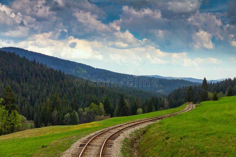 Forest railroad track stock image. Image of country - 164917771