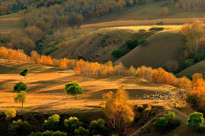 Forest Ranch stock photo. Image of badlands, green, color - 6944078