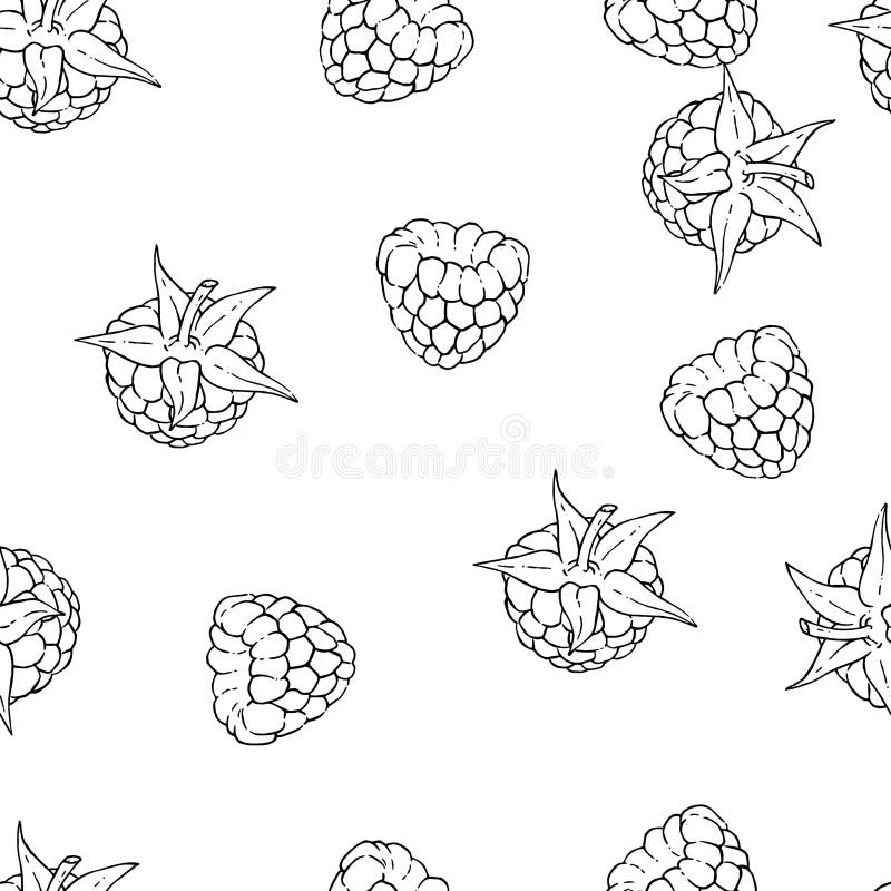 Raspberry Drawing Stock Illustrations – 9,011 Raspberry Drawing Stock ...