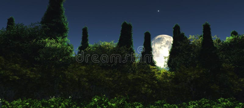 Forest in the Rays of the Setting Sun in the Fog Stock Illustration ...