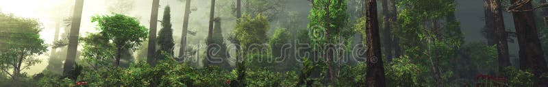 Forest in the Rays of the Setting Sun in the Fog Stock Illustration ...