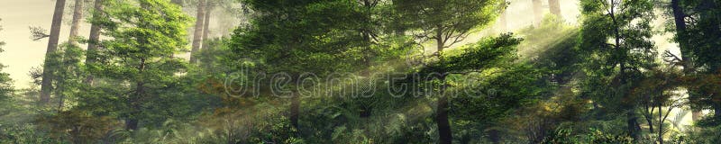 Forest in the Rays of the Setting Sun in the Fog Stock Illustration ...