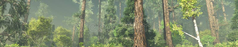 Forest in the Rays of the Setting Sun in the Fog Stock Illustration ...