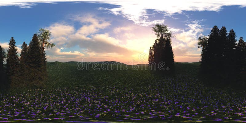 Forest in the Rays of the Setting Sun in the Fog Stock Illustration ...