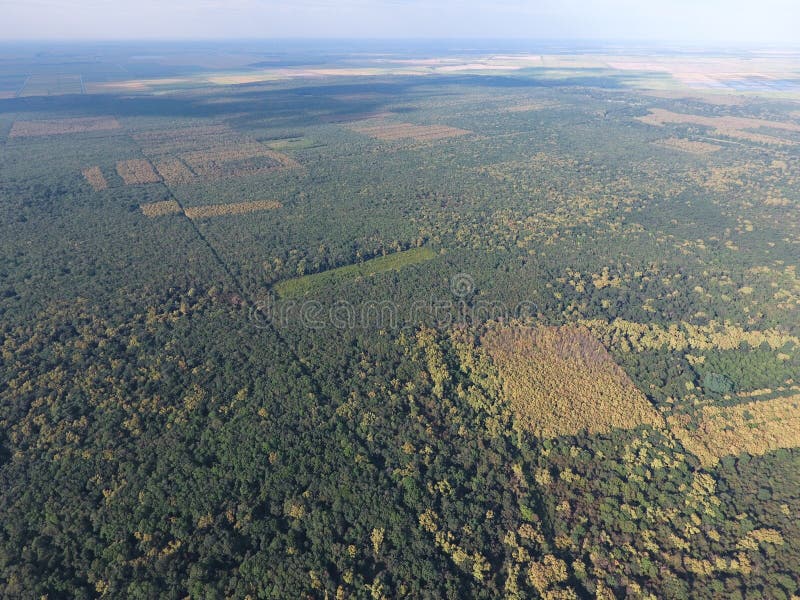 The Forest Red Forest. Landscape with a Bird S Eye View Stock Image ...