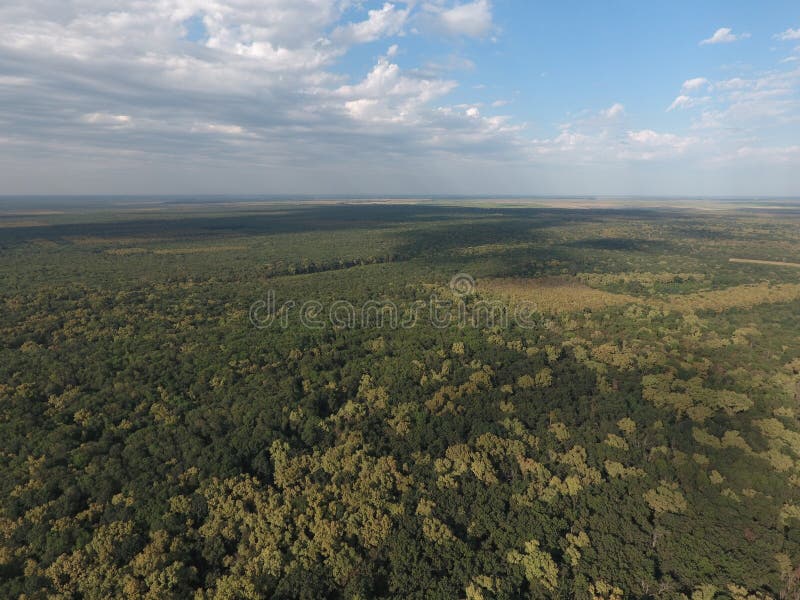 The Forest Red Forest. Landscape with a Bird S Eye View Stock Photo ...
