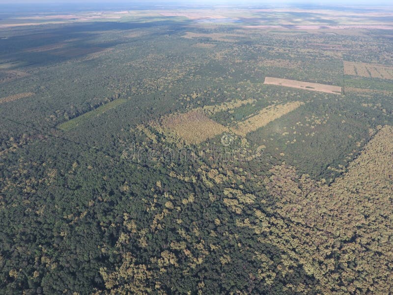 The Forest Red Forest. Landscape with a Bird S Eye View Stock Photo ...