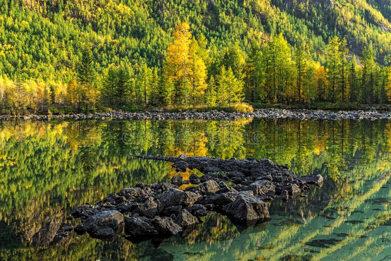 Forest Reflected in the Perfectly Smooth Water Stock Photo - Image of ...