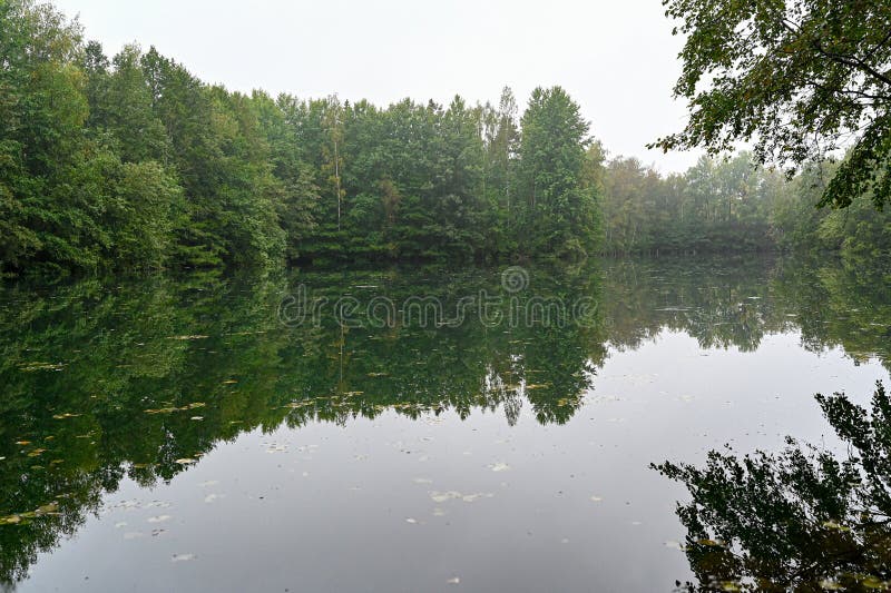 Forest Reflecting in Small Calm Lake in September Stock Image - Image ...