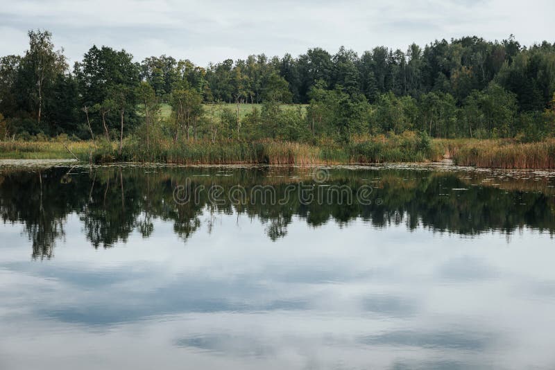 Forest Reflection in Blue Lake, Rural Scene Stock Photo - Image of ...