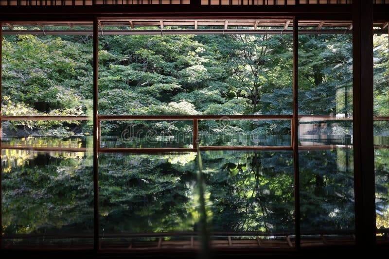 Forest Reflection through Large Windows Editorial Stock Photo - Image ...