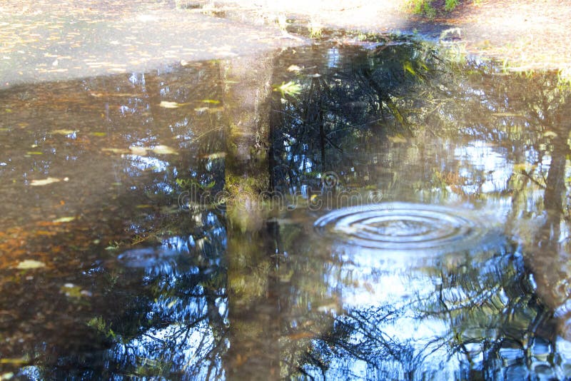 Post rainstorm reflection stock image. Image of pond - 120815307