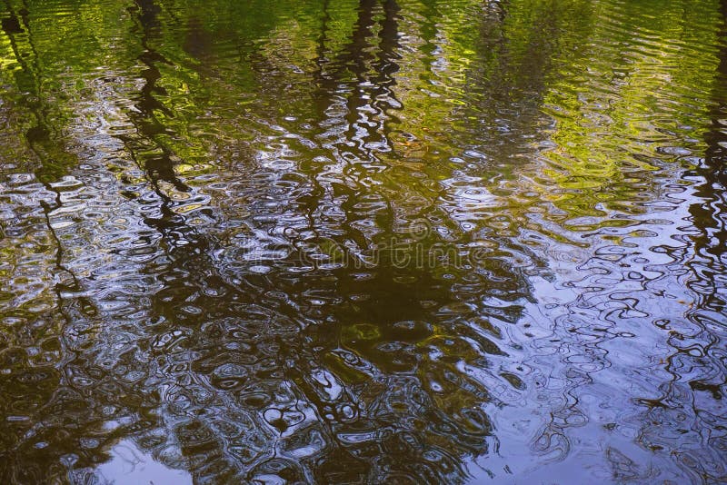 Forest Reflection in Water Surface. Spring Evening Warm Weather. Stock ...