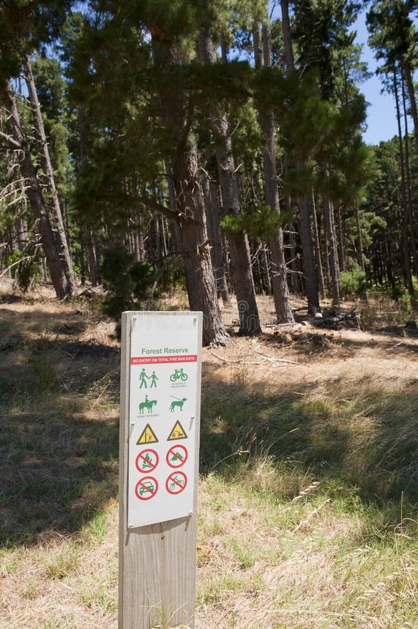 Forest Reserve stock image. Image of industry, tree, lumber - 37633615
