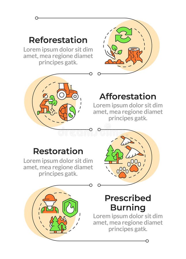Forest Restoration Types Infographic Vertical Sequence Stock Vector ...