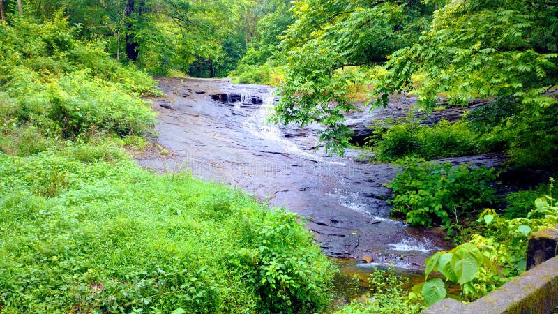 Forest rill stock image. Image of rill, ladscape, nature - 152931131