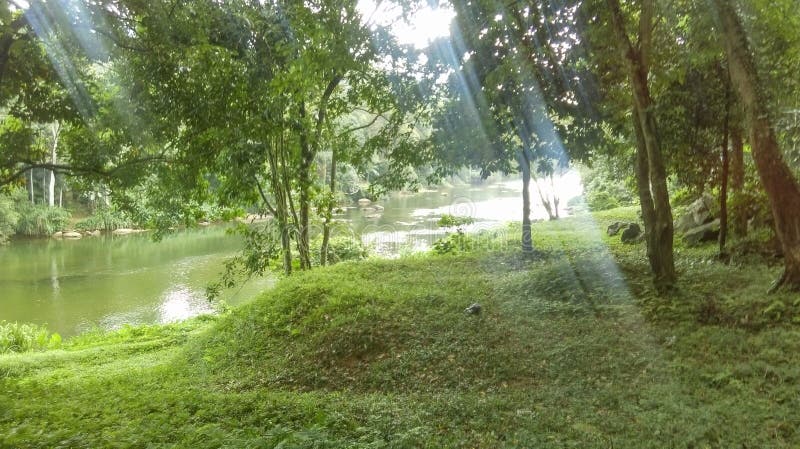 Most Beautiful Bird Wallpapers Stock Photos - Free & Royalty-Free Stock ...