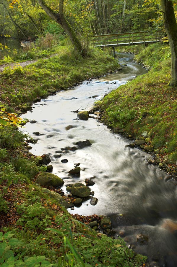 Forest river stock photo. Image of brown, landscape, relax - 1603268