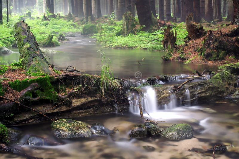 Forest river stock image. Image of forest, descent, fall - 2708673