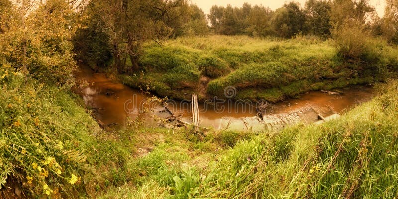 Swamp panorama. stock photo. Image of grass, panorama - 45318136
