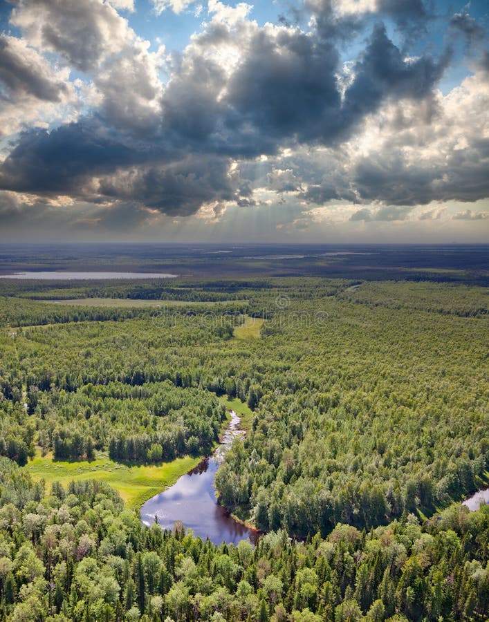 Forest river stock image. Image of view, area, showery - 84291077