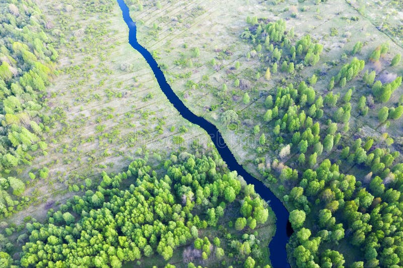 Forest River Aerial View. Summer Season Stock Photo - Image of ...